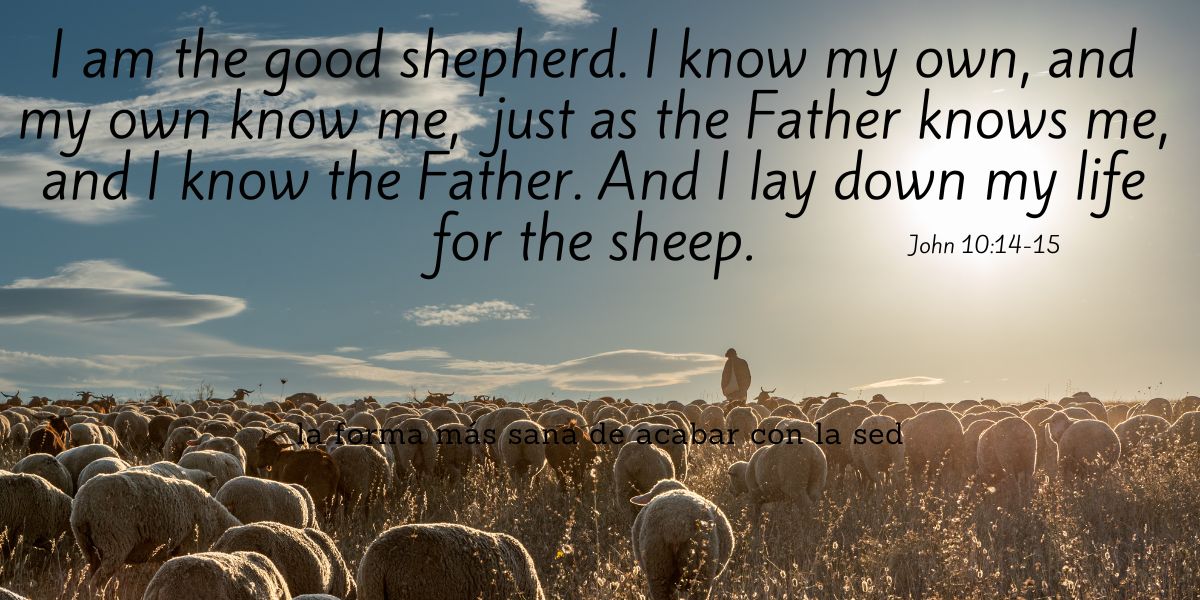 I am the good shepherd. I know my own, and my own know me, just as the ...